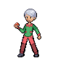 PokeMMO Hub - Santa's Little Helper Outfit